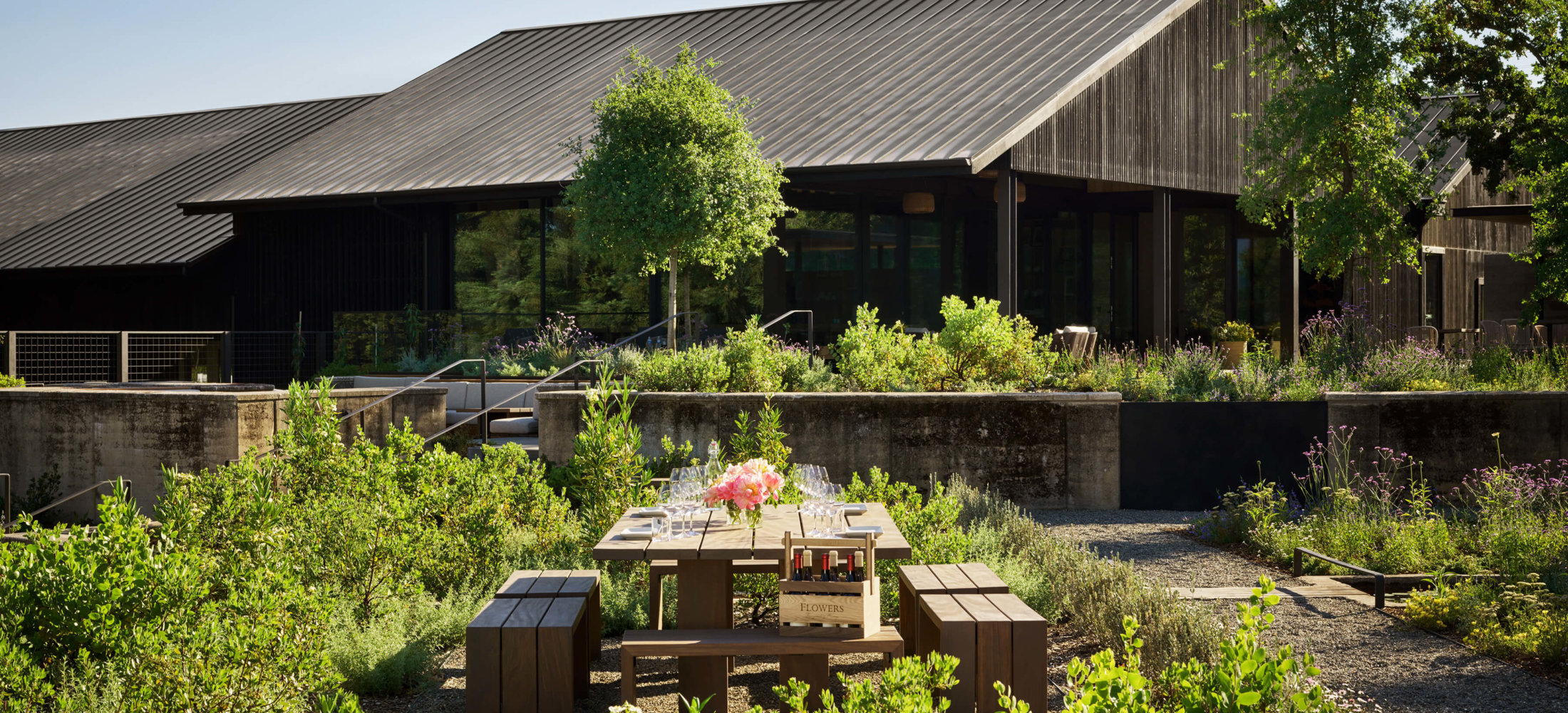 Vineyards & Winery in California, USA - amadeus by Amari Austria